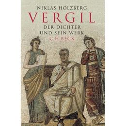 Beck Vergil - Niklas Holzberg, Gebunden