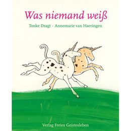 Was niemand weiß - Tonke Dragt, Gebunden