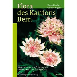 haupt Flora des Kantons Bern - Konrad Lauber, Gerhart Wagner, Andreas Gygax, Kartoniert (TB)