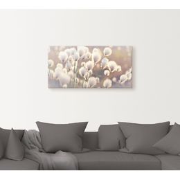 Wandbild Artland "Wollgraszauber im Moor" Bilder Gr. B/H: 150 cm x 75 cm, Leinwandbild Gräser, 1 St., beige (naturfarben) Kunstdrucke