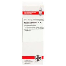 DHU-Arzneimittel Adonis Vernalis D 6 Dilution 20 ml