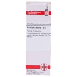 DHU-Arzneimittel Gentiana Lutea D 6 Dilution 20 ml