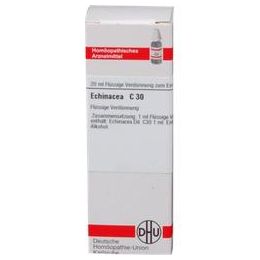 DHU-Arzneimittel Echinacea HAB C 30 Dilution 20 ml