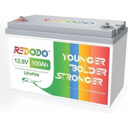 12V 100Ah LiFePO4 Batterie, 100A bms, 4000+ Zyklen, max 1280W Leistung für Blei-Säure Batterien für rv, Camping, Solar Home Systeme-Packung 1 - Redodo