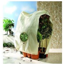 BIO GREEN Pflanzensack Window Jumbo 200 x 240 cm, natur