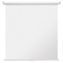 MAGNETOPLAN Roll-Leinwand Leinwandtuch Cinerello Weiß 200 x 10 cm