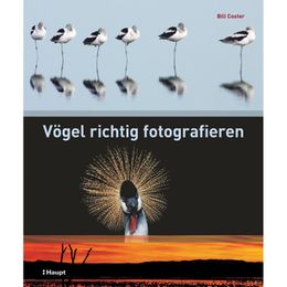 haupt Vögel richtig fotografieren - Bill Coster, Gebunden