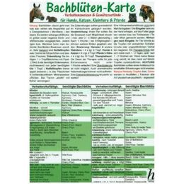 Bachblüten-Karte für Hunde, Katzen, Kleintiere & Pferde, Verhaltensweisen & Gemütszustände,