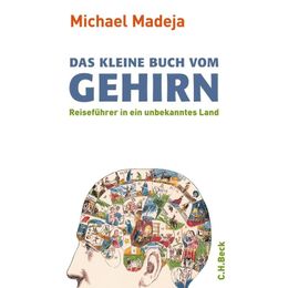 Beck Das kleine Buch vom Gehirn - Michael Madeja, Gebunden