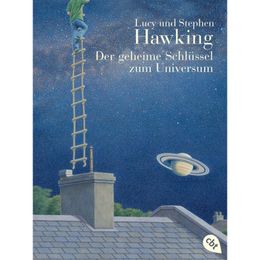 Der geheime Schlüssel zum Universum / Geheimnisse des Universums Bd.1 - Stephen Hawking, Lucy Hawking, Taschenbuch