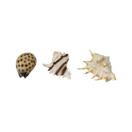 Europet-Bernina Aquariendeko Aquarium Dekoration Sea Shell Mix