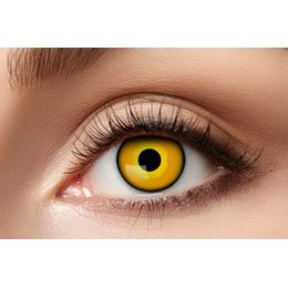 Eyecatcher Farblinsen ES Kontaktlinsen. Schaurige orange Clown Farblinsen