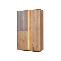 JVmoebel Vitrine Braune LED-Vitrine Luxuriöse Holz Möbel Designer Glasschrank (1-St.