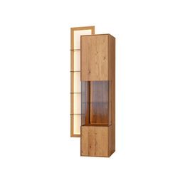 JVmoebel Vitrine Designer Vitrine Brauner Holz Schrank Wohmzimmer Neu (1-St.