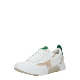 Paul Green Sneaker '5335-025' Damen Gr&ouml;&szlig;e 36 sand / gr&uuml;n / wei&szlig;