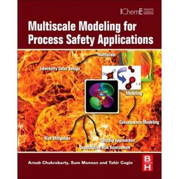 Multiscale Modeling for Process Safety Applications - Arnab Chakrabarty, Sam Mannan, Tahir Cagin, Gebunden