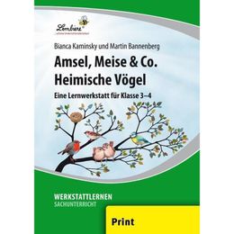 Amsel, Meise & Co: Heimische Vögel - B. Kaminsky, M. Bannenberg, Loseblatt
