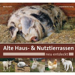 Alte Haus- & Nutztierrassen neu entdeckt - Martin Haller, Gebunden