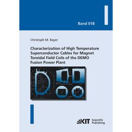 Characterization of High Temperature Superconductor Cables for Magnet Toroidal Field Coils of the DEMO Fusion Power Plant - Christoph M. Bayer, Kartoniert (TB)