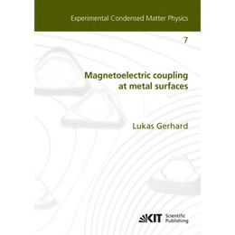Magnetoelectric coupling at metal surfaces - Lukas Leander Gerhard, Kartoniert (TB)