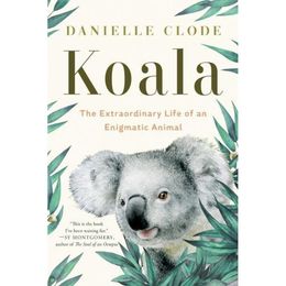 W. W. Norton & Company Koala - Danielle Clode, Gebunden