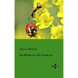 Die Baukunst der Insekten - James Rennie, Kartoniert (TB)