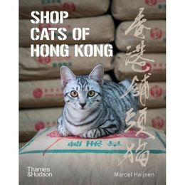 Thames & Hudson Shop Cats of Hong Kong - Marcel Heijnen, Kartoniert (TB)