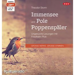 Immensee und Pole Poppenspäler,1 Audio-CD, 1 MP3 - Theodor Storm (Hörbuch)