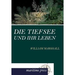 Die Tiefsee und ihr Leben - William Marshall, Kartoniert (TB)