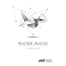 Realtime Analysis of Large-Scale Data - Daniel Becker, Kartoniert (TB)