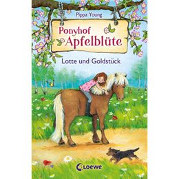 Loewe Lotte und Goldstück / Ponyhof Apfelblüte Bd.3 - Pippa Young, Gebunden
