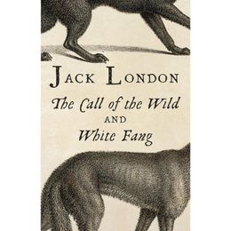 Penguin Random House Vintage Classics / The Call of the Wild & White Fang - Jack London, Kartoniert (TB)