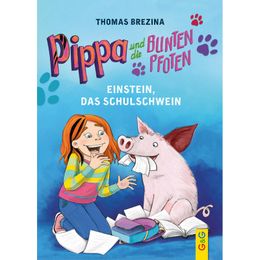 Einstein, das Schulschwein / Pippa und die bunten Pfoten Bd.2 - Thomas Brezina, Gebunden