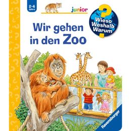 RAVENSBURGER VERLAG Wir gehen in den Zoo / Wieso? Weshalb? Warum? Junior Bd.30 - Patricia Mennen, Pappband