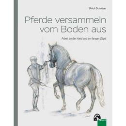 Pferde versammeln vom Boden aus - Ulrich Schnitzer, Gebunden