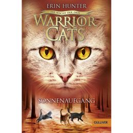 Sonnenaufgang / Warrior Cats Staffel 3 Bd.6 - Erin Hunter, Taschenbuch