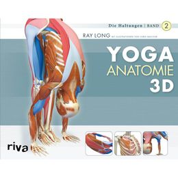 Riva Yoga-Anatomie 3D.Bd.2 - Ray Long, Kartoniert (TB)