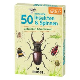 moses. 50 heimische Insekten & Spinnen entdecken & bestimmen, 50 Ktn.