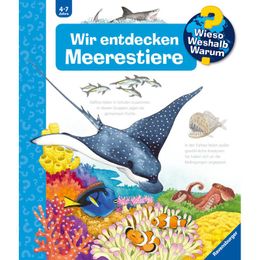 RAVENSBURGER VERLAG Wir entdecken Meerestiere / Wieso? Weshalb? Warum? Bd.27 - Andrea Erne, Pappband