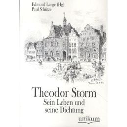 Theodor Storm - Paul Schütze, Kartoniert (TB)