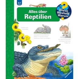 RAVENSBURGER VERLAG Alles über Reptilien / Wieso? Weshalb? Warum? Bd.64 - Patricia Mennen, Pappband