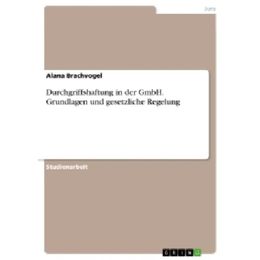 GRIN Durchgriffshaftung in der GmbH. Grundlagen und gesetzliche Regelung - Alana Brachvogel, Kartoniert (TB)