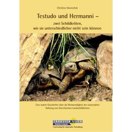 Testudo und Hermanni - zwei Schildkröten, wie sie unterschiedlicher nicht sein können - Christine Dworschak, Kartoniert (TB)