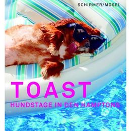 Edition Blindenhund / Toast - Katie Sturino, Gebunden