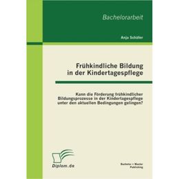 Frühkindliche Bildung in der Kindertagespflege - Anja Schäfer, Kartoniert (TB)
