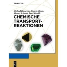 De Gruyter Chemische Transportreaktionen - Michael Binnewies, Peer Schmidt, Marcus Schmidt, Robert Glaum, Kartoniert (TB)