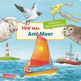 Das Meer / Hör mal Bd.8 - Anne Möller, Pappband