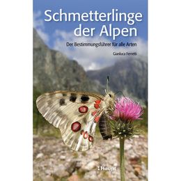 haupt Schmetterlinge der Alpen - Gianluca Ferretti, Kartoniert (TB)