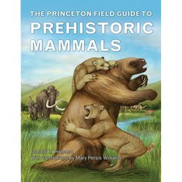 Princeton University Press Princeton Field Guide to Prehistoric Mammals - Donald R. Prothero, Mary Persis Williams, Gebunden