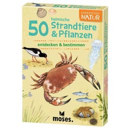 moses. 50 heimische Strandtiere & Pflanzen entdecken & bestimmen